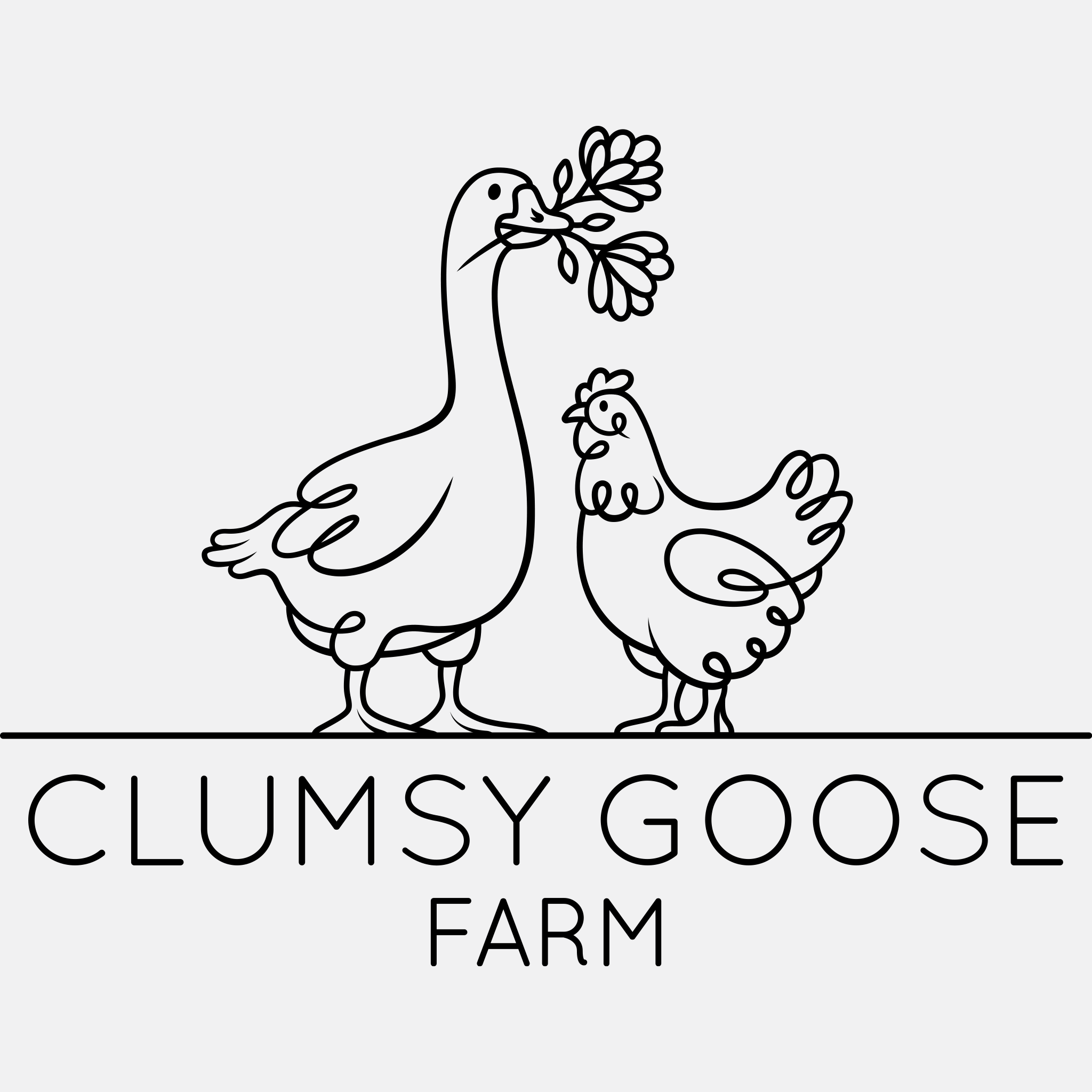 Clumsy Goose Farm